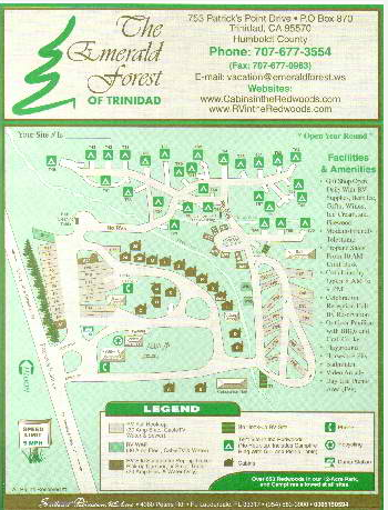 The Emerald Forest of Trinidad - 5 Photos - Trinidad, CA - RoverPass