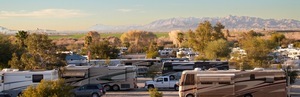 Arizona Oasis RV Resort - 5 Photos, 4 Reviews - Ehrenberg, AZ