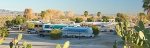 Arizona Oasis RV Resort - 5 Photos, 4 Reviews - Ehrenberg, AZ