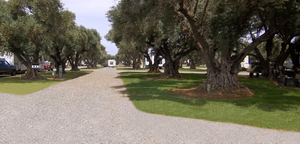 Corning RV Park - Corning, CA