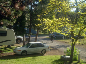 Trailer Lane RV Park - Weed, CA