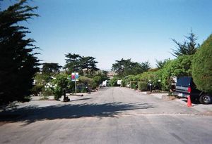 Marina Dunes - Marina, CA