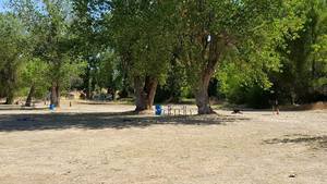 Two Rivers RV Park - 5 Photos, 1 Reviews - Manteca, CA - RoverPass