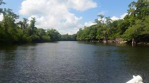 Ellie Ray's RV Resort & Lounge - Branford, FL