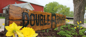 Double RR Ranch - Belding, MI