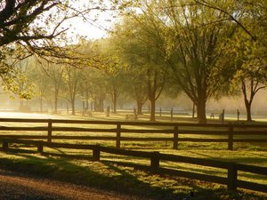 Watermelon Park - Berryville, VA