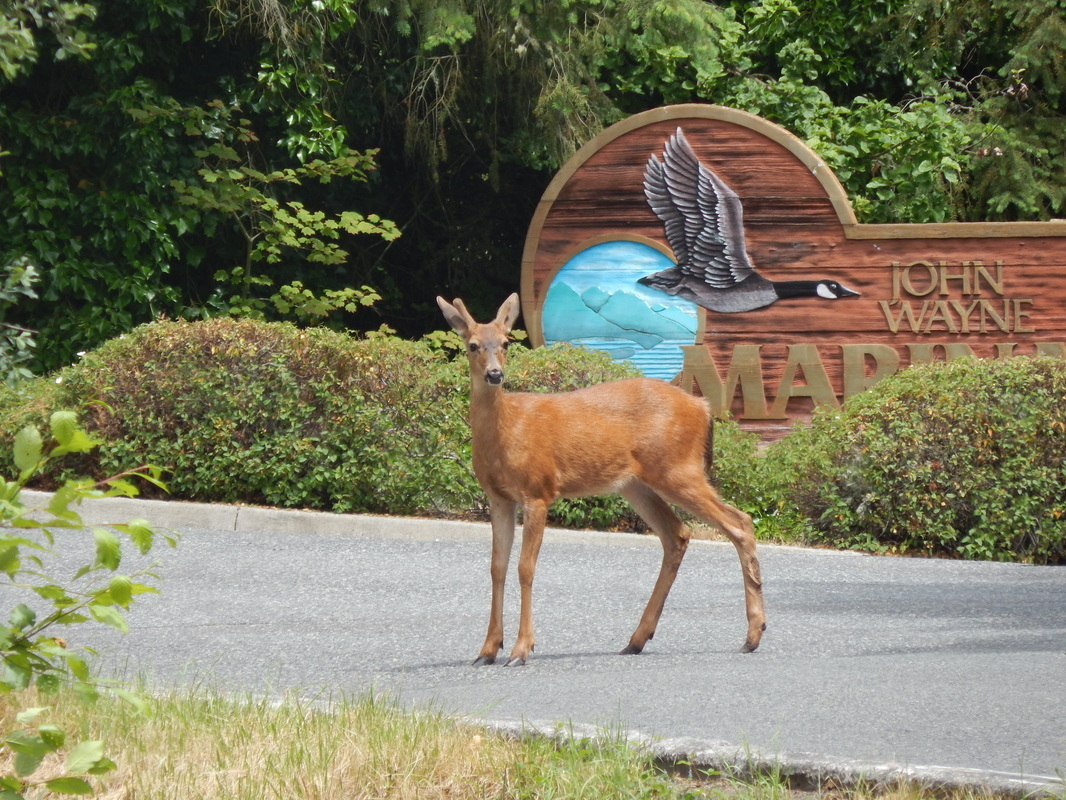 John Wayne's Waterfront Resort - Sequim, WA