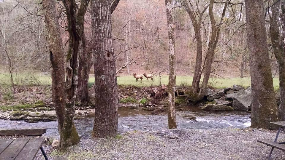 Cherokee Campground & Craig's Log Cabins - 3 Photos - Cherokee, NC