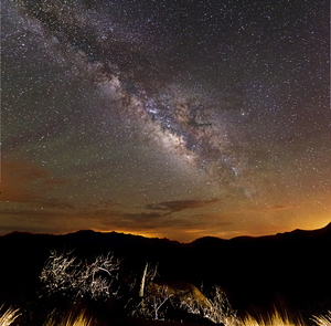 Triangle T Guest Ranch - Dragoon, AZ