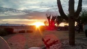 Sun Country RV Park - Wellton, AZ
