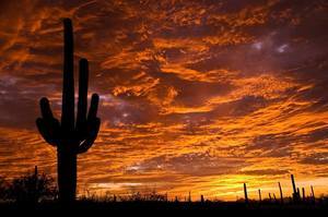 Shadow Ridge RV Resort - 2 Photos, 1 Reviews - Ajo, AZ - RoverPass