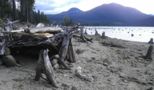 Bumping Lake Campground - 2 Photos - Naches, WA - RoverPass