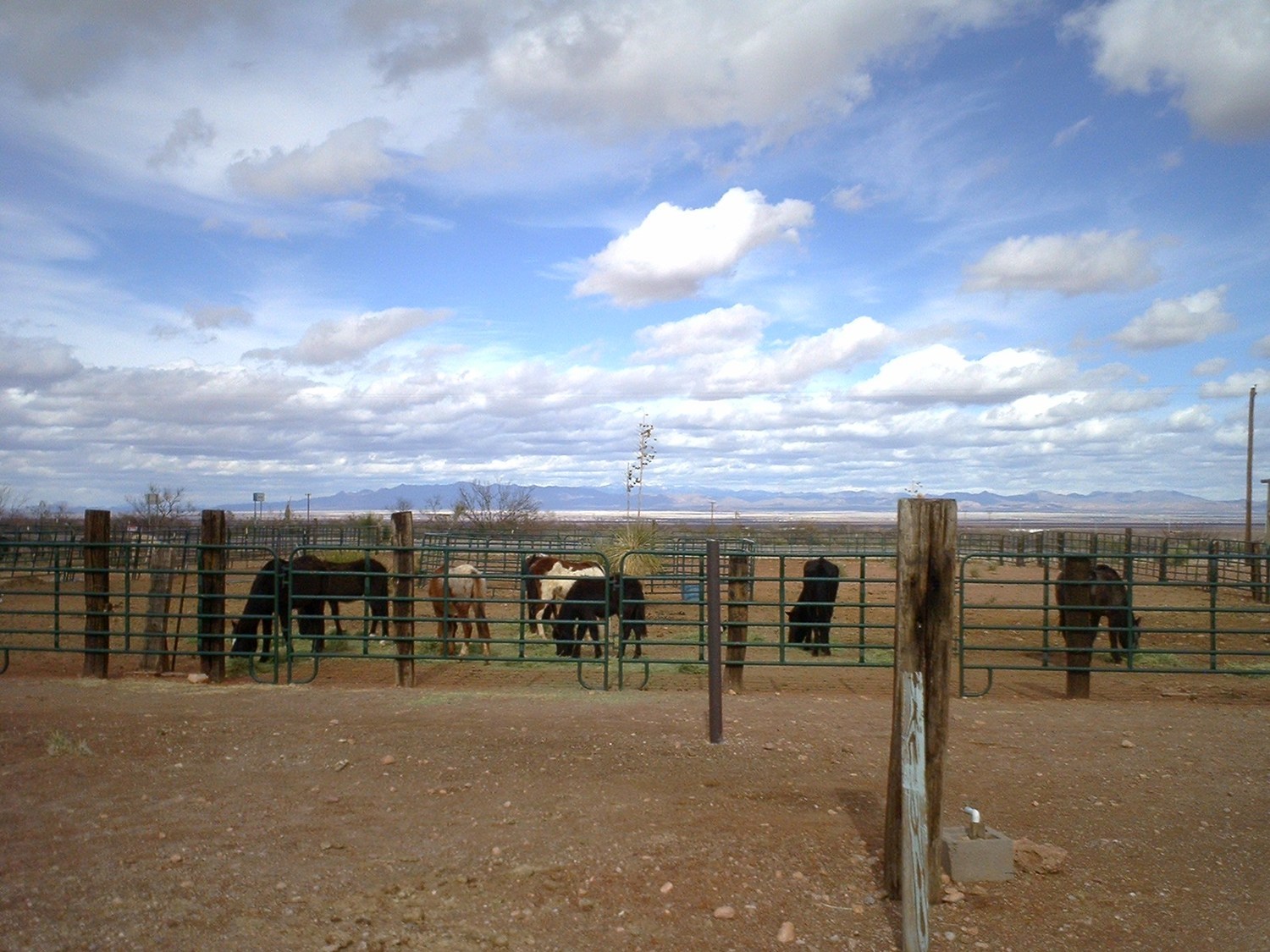 Belle Starr's Silverado Ranch - Douglas, AZ