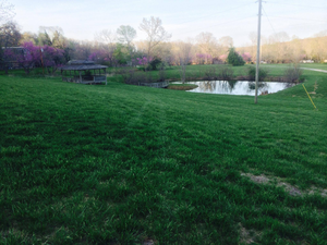 Laura Ingalls Wilder RV Park and Campground - 2 Photos, 1 Reviews