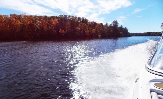 The Timber Campground - - Cambridge, IL - RoverPass