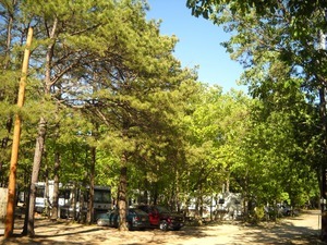 Indian Rock RV Park - Jackson, NJ