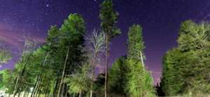 Blue Lake Camp & Retreat Center - 2 Photos - Andalusia, AL - RoverPass