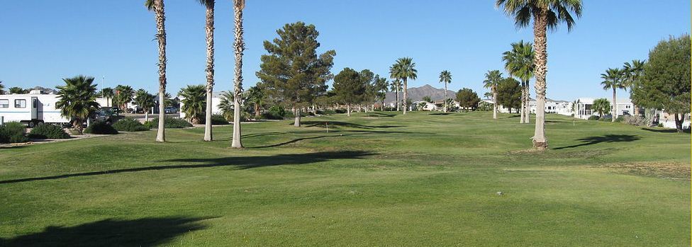 Desert Palms Golf & RV Resort (55+ park) - Salome, AZ