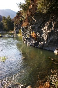 Camp Williams Resort - Azusa, CA