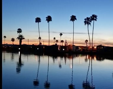 Roadrunner Lake Resort (55+ park) - Scottsdale, AZ
