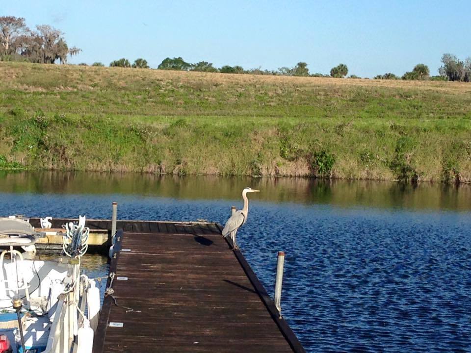 Ancient Oaks (55+ park) - Okeechobee, FL