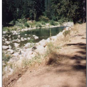 River Rest Resort - 2 Photos, 1 Reviews - Washington, CA - RoverPass