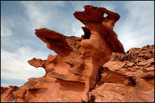 Bailey's Hot Springs - 1 Photos - Beatty, NV - RoverPass