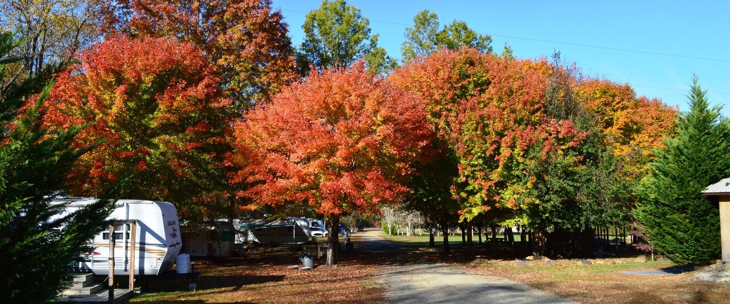 Crawford's Campground - Murphy, NC
