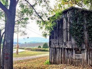 Lost River Campground - 4 Photos - Lost River, WV - RoverPass