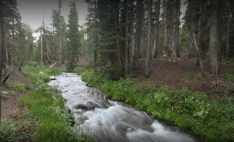 Redinger Campground - - North Fork, ID - RoverPass