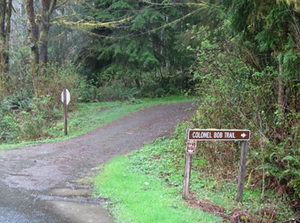 Colonel Bob Trail #851 Dispersed Campground - Quinault, WA