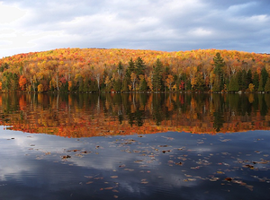 Ricker Pond State Park - Groton, VT