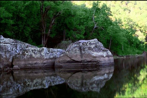Moccasin Gap Horse Trail - Dover, AR