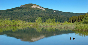 Peninsula Tent Campground - 3 Photos - Strawberry Valley, CA