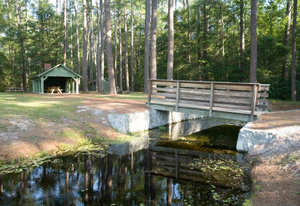Blackwater River Campground - Baker, NV