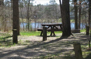 Mack Lake ORV Campground - Mio, MI