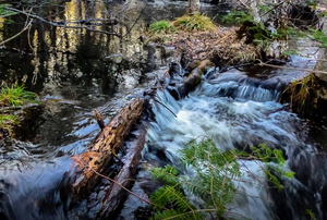 East Bearskin Lake Campground - 3 Photos - Superior, NE - RoverPass