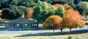 Potrero County Park - 2 Photos - Potrero, CA - RoverPass