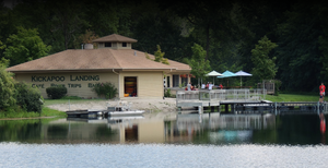 Kickapoo State Recreation Area - Oakwood, IL