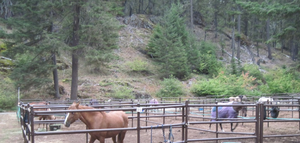 Cayuse Horse Camp - 2 Photos - Ronald, WA - RoverPass