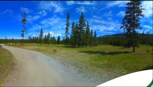 Sheffield Campground - Moran, WY