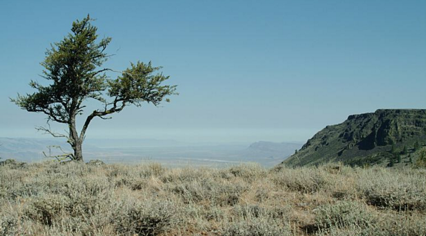 Lofton Reservoir Developed Campground - - Lakeview, OR - RoverPass