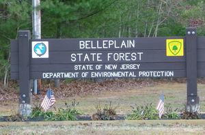 Belleplain State Forest - Woodbine, GA
