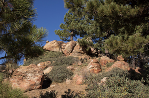 Reyes Peak Campground - Maricopa, AZ