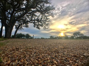 Angels in Goliad - Goliad, TX