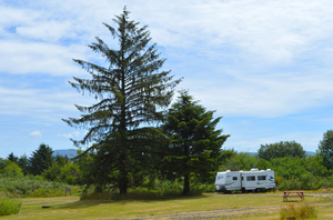Port of Tillamook RV Park - 1 Photos - Tillamook, OR - RoverPass