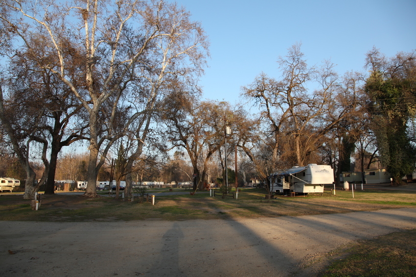 Lily Pad Campground - - Lakeshore, CA - RoverPass