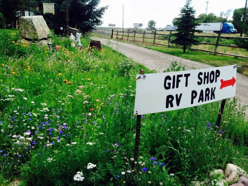 Egin Lakes Campground - - St-anthony, ID - RoverPass