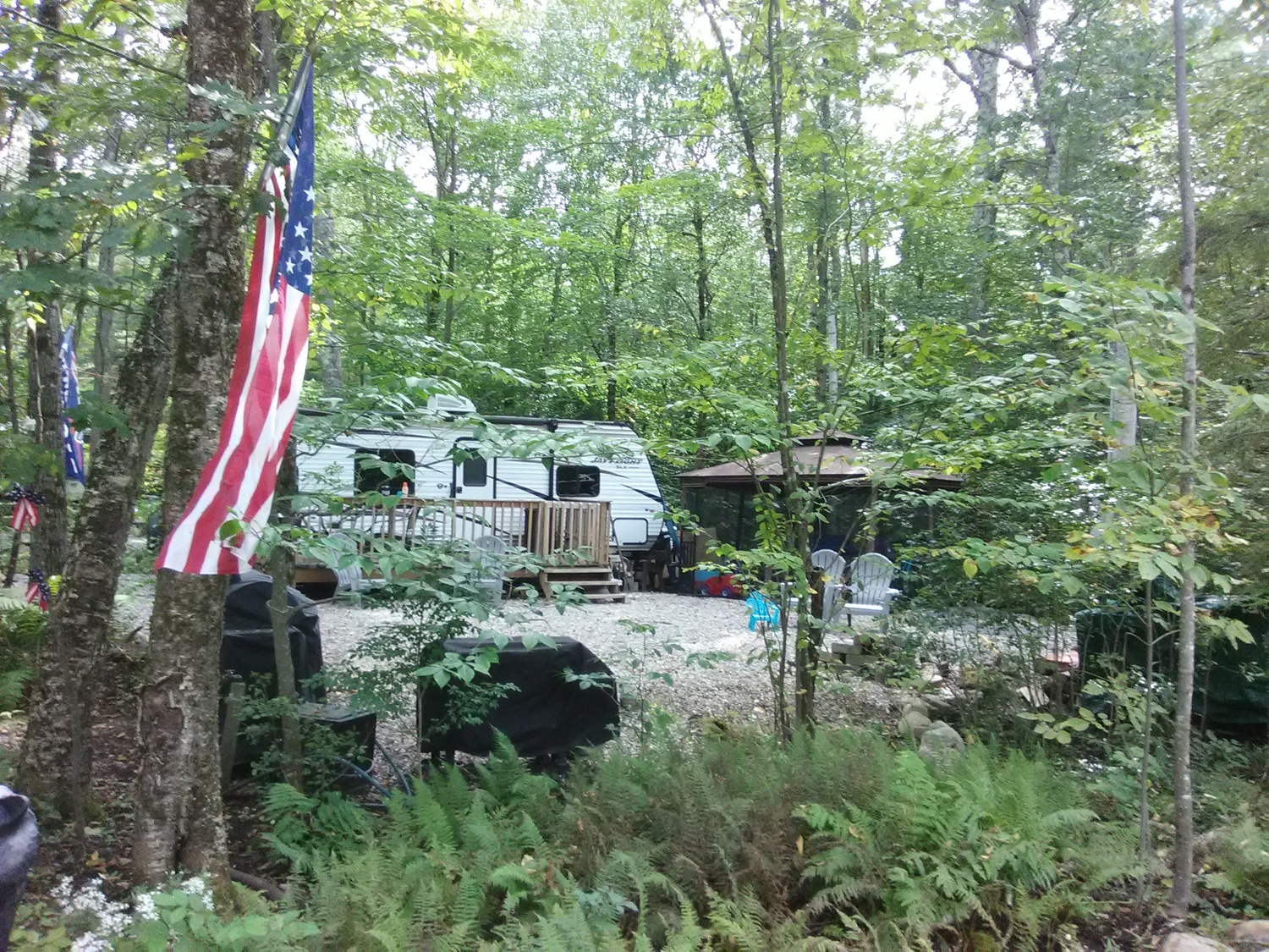 Laurel Ridge Campground - East Otis, MA