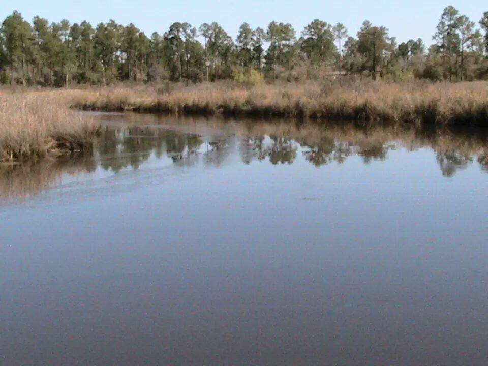 White's Bayou RV Park - Pearlington, MS
